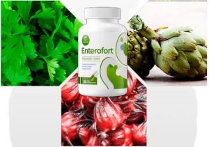 Enterofort opiniones ¿Limpie su cuerpo de parásitos?